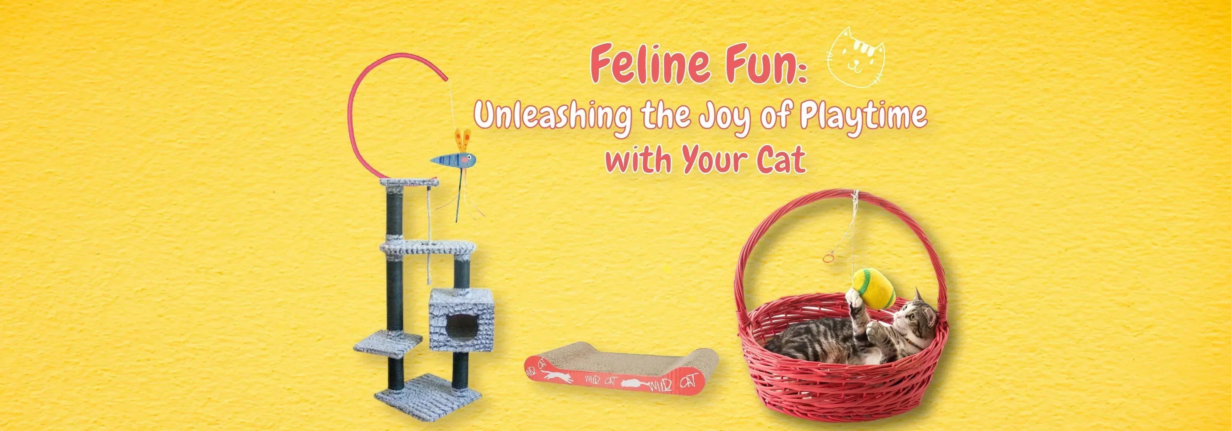 Feline Fun: Unleashing the Joy of Playtime with Your Cat — Ofypets
