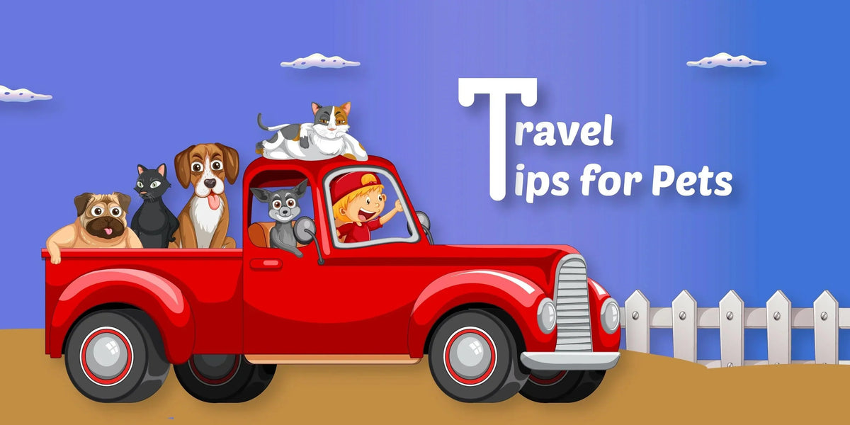 Traveling with Your Furry Children: Essential Tips and Checklist — Ofypets