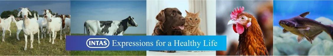 One of the most trusted Animal Healthcare products - Intas — Ofypets