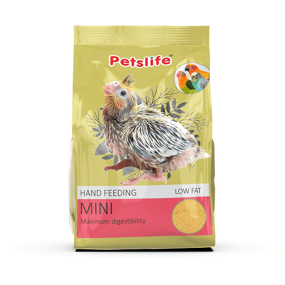 Petslife Hand Feeding Formula Low Fat Bird Food — Ofypets