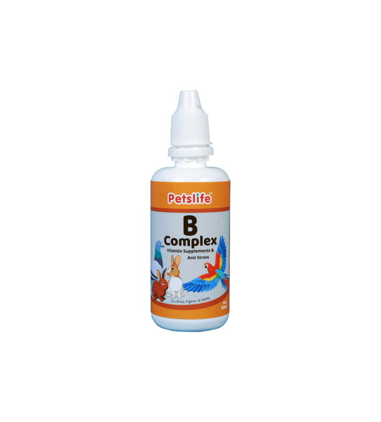 Petslife Vitamin B Complex Bird Supplement — Ofypets