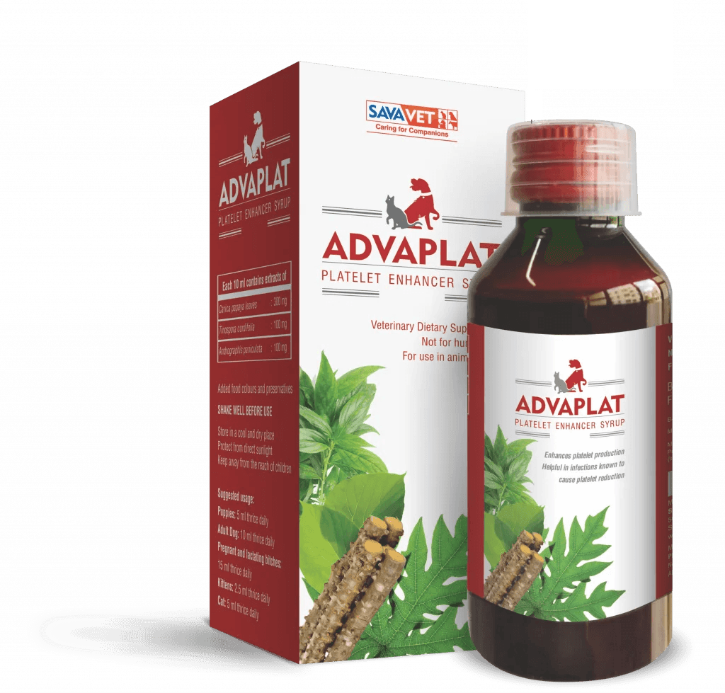 Savavet Advaplat Platelet Enhancer Syrup for Dogs and Cats — Ofypets