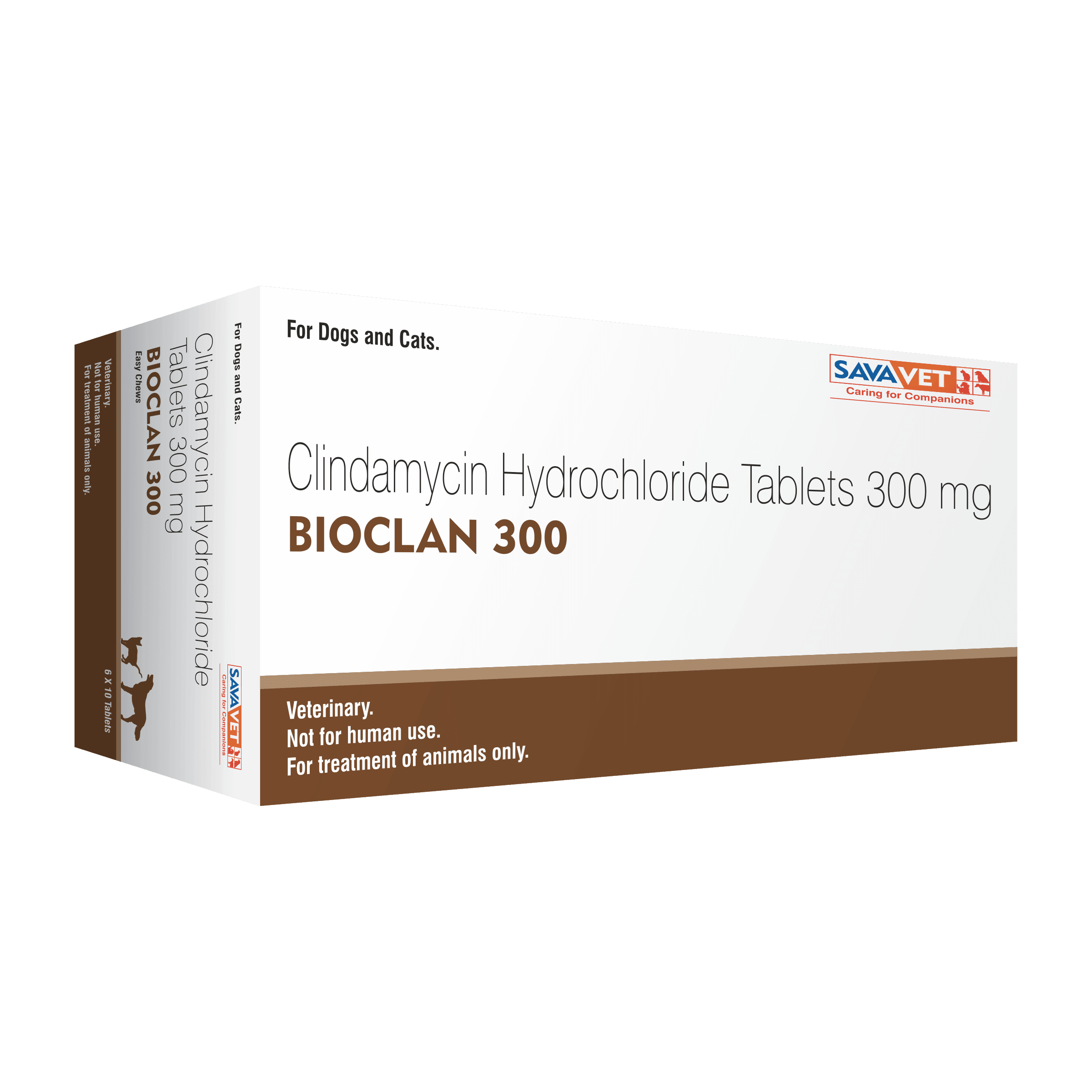 Savavet Bioclan Clindamycin Hydrochloride Tablets for Dogs and Cats ...