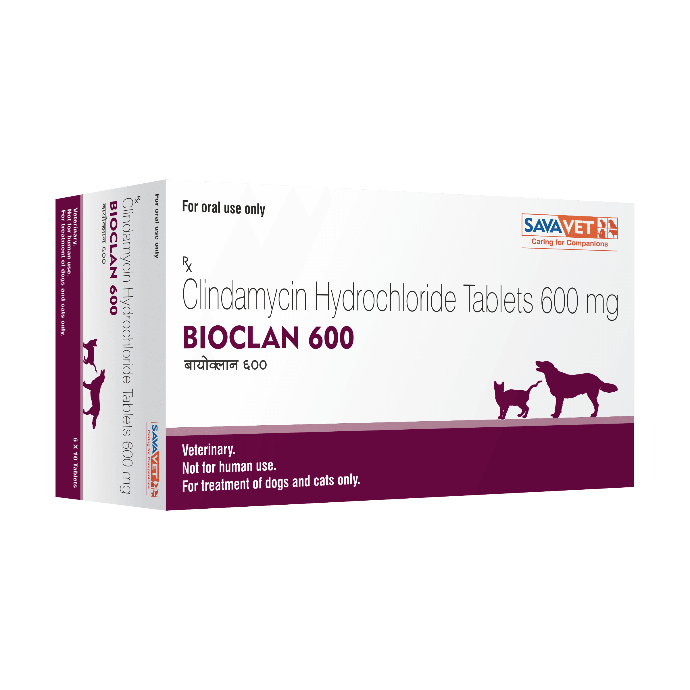 Savavet Bioclan Clindamycin Hydrochloride Tablets for Dogs and Cats ...
