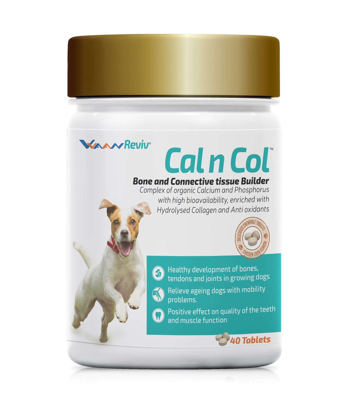 Vvaan Cal n Col Liver Flavour Calcium Chewable Tablets for Dogs — Ofypets